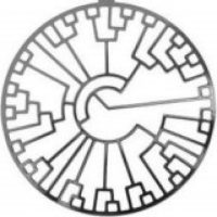 What next for human germline editing? – All The Coolest Genomics